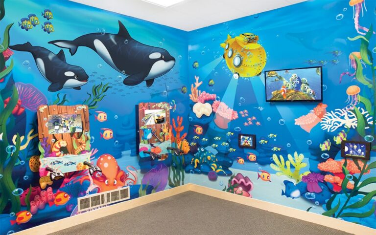 Themed Custom Wall Murals | Fun Kids Wall Murals | IDS Kids